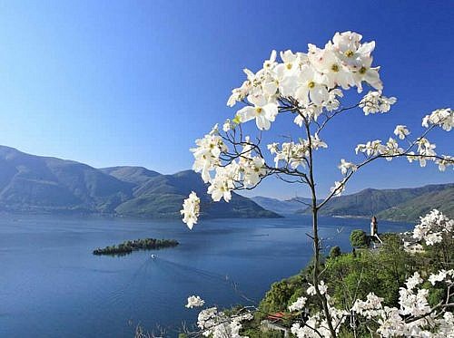 Ronco: Porto-Ronco/Ronco sopra Ascona | Swiss Wanderlust