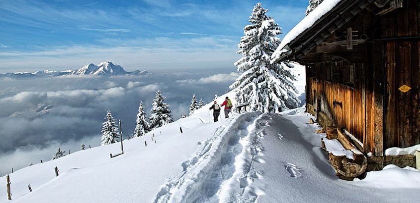 WWWstw8237-(1) | Swiss Wanderlust