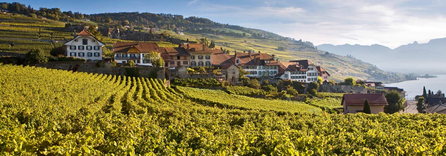 wwwstn7539 | Swiss Wanderlust